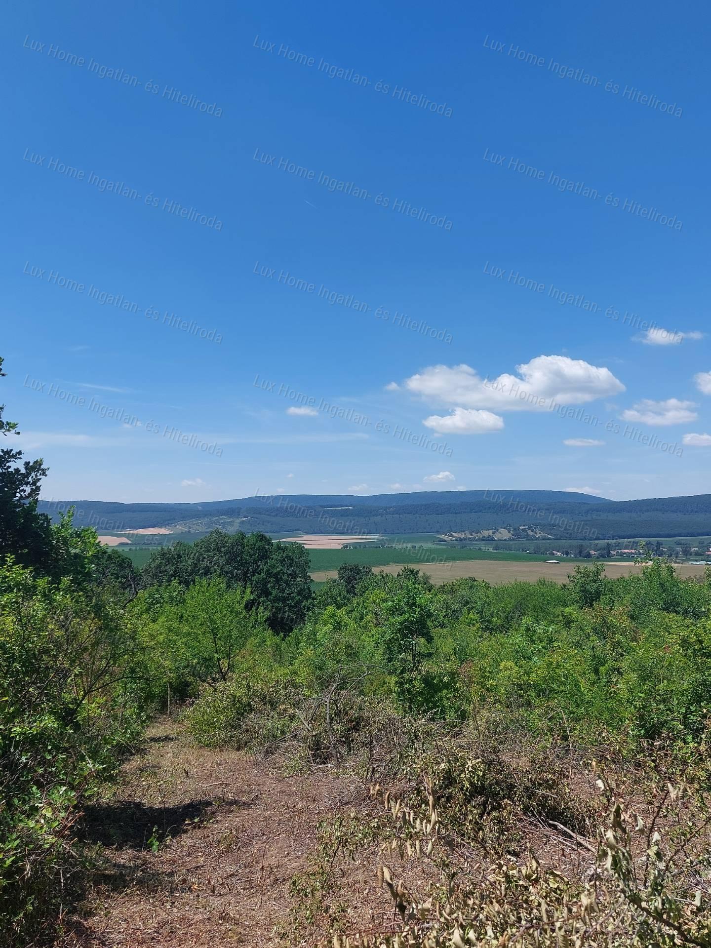 Eladó zártkert - Héreg (Bikaréti Dűlő) - sz.: 182501549 - CasaNetWork.hu